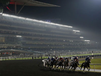 Meydan Selections | Racing971 | United Arab Emirates Racing